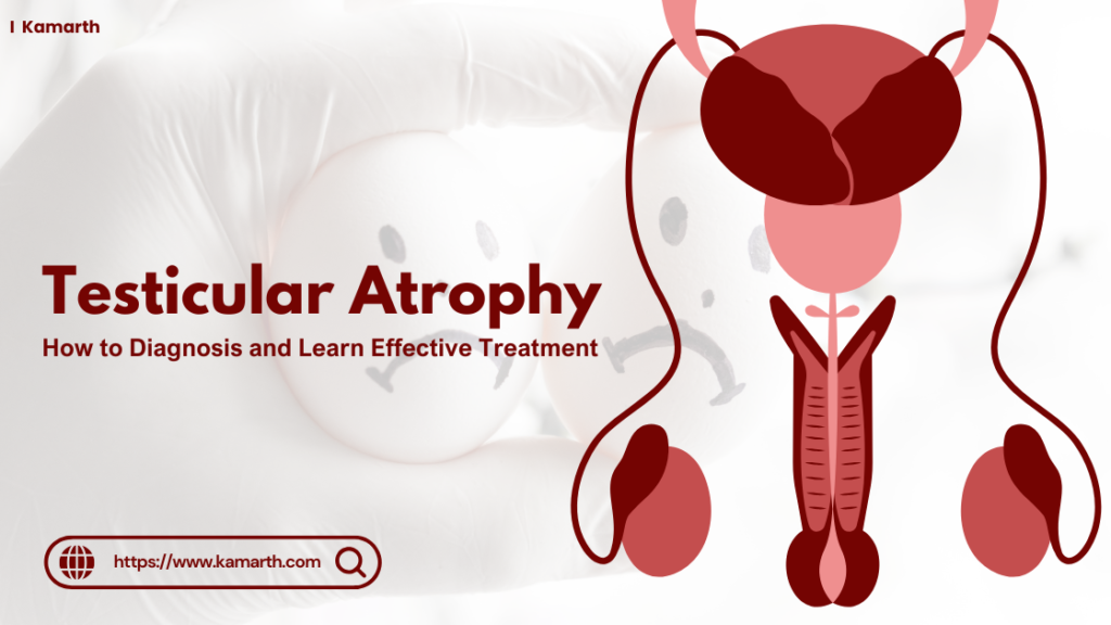 Testicular Atrophy - Prevention, Diagnosis & Treatment - Kamarth